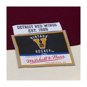 Mitchell & Ness X Just Don Detroit Wings Jersey Hoodie