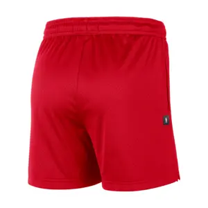 Nike Chicago Bulls Standard Issue Dri-fit 5" Basketball Mesh Shorts - Red