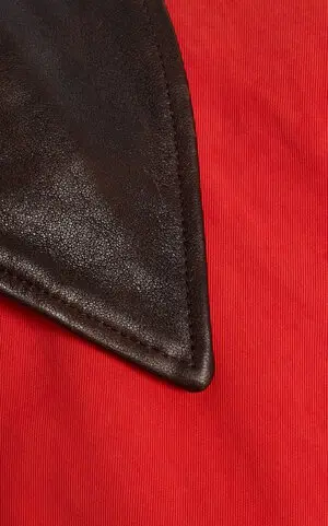 Altuzarra Bobbie Cotton Coat