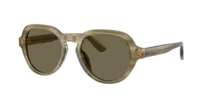 Dolce & Gabbana Sunglass Dg4567 - Brown