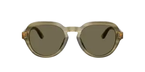 Dolce & Gabbana Sunglass Dg4567 - Brown