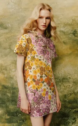 Agua Bendita Iris Embroidered Mini Dress - Multi