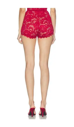 NOOKIE Delphine Lace Shorts