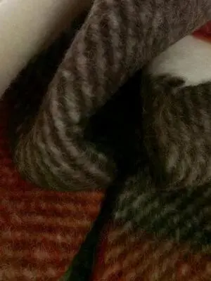 Loewe Fringed Scarf