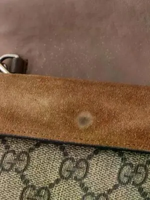 Gucci Dionysus Bag Gg Coated Canvas Super Mini Crossbody Bag