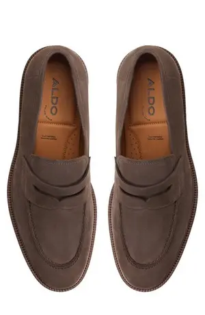 Aldo Fenson Leather Penny Loafer - Brown