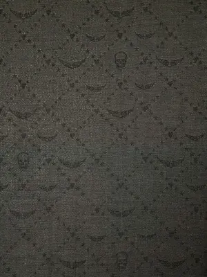 Zadig&Voltaire Oversized Jacquard Scarf