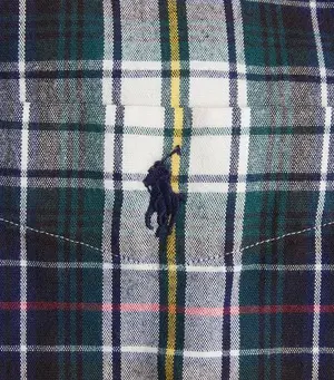 Polo Ralph Lauren Cotton Check Oxford Shirt