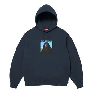 Supreme Fw26 Sith Hooded Sweatshirt