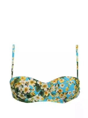 Dolce & Gabbana Floral-print Underwired Bikini Top - Blue