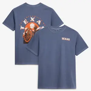IMAGE ONE Texas Longhorns Comfort Colors Team Statue T-shirt - Navy