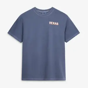 IMAGE ONE Texas Longhorns Comfort Colors Team Statue T-shirt