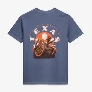 IMAGE ONE Texas Longhorns Comfort Colors Team Statue T-shirt