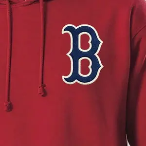 Champion Boston Sox Reverse Weave Chenille Hoodie