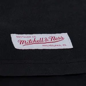 Mitchell & Ness Alabama Crimson Tide Monochrome Icon T-shirt