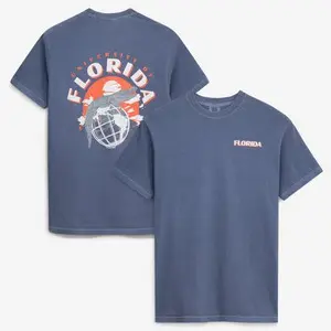 IMAGE ONE Florida Gators Comfort Colors Team Statue T-shirt - Navy