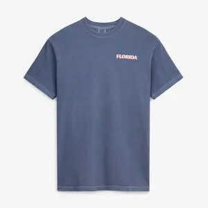 IMAGE ONE Florida Gators Comfort Colors Team Statue T-shirt
