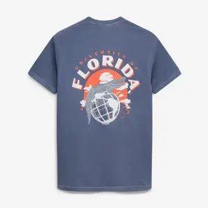 IMAGE ONE Florida Gators Comfort Colors Team Statue T-shirt