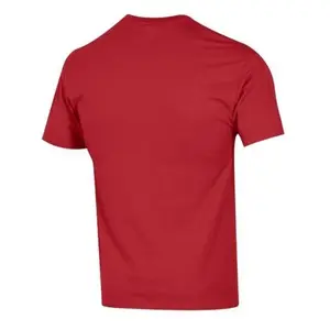 Champion Houston Texans Arch Over Logo T-shirt