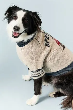 Anthropologie Seasonal Icon Pet Sweater - Teddybear