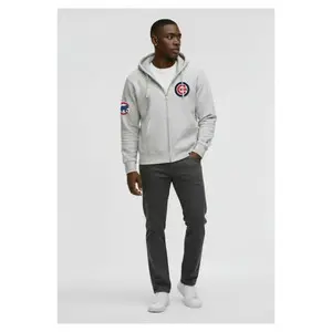 Champion Chicago Cubs Reverse Weave Chenille Full-zip Hoodie - Gray