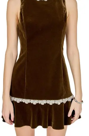 Endless Rose Jewel Trim Sleeveless Velvet Minidress
