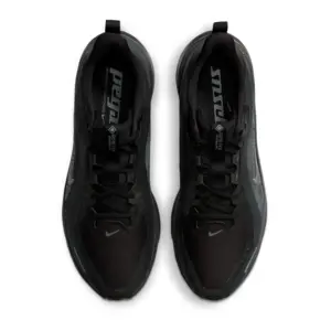 Nike Pegasus 42 Gore-tex Waterproof Road Running Shoes