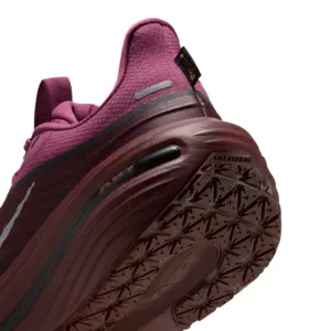 Nike Winflo Gore-tex Waterproof Road Running Shoes