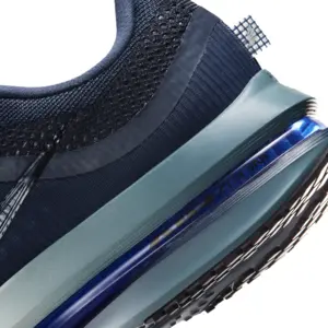 Nike Pegasus Premium Road Running Shoes