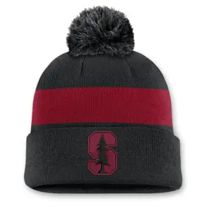 Nike Stanford Peak College Cuffed Beanie - Black