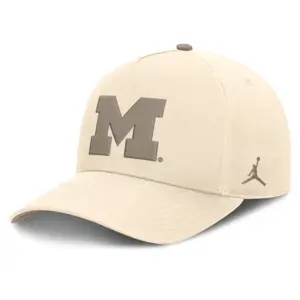 JORDAN Michigan Natural Rise Brand Dri-fit College A-frame Adjustable Hat - Brown