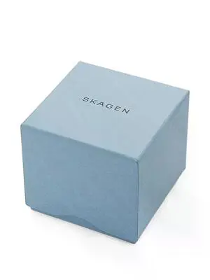 Skagen Three-hand 40mm Watch