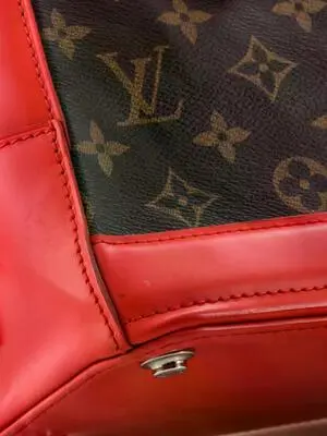 LOUIS VUITTON Dora Handbag Monogram Canvas And Calfskin Pm Satchel