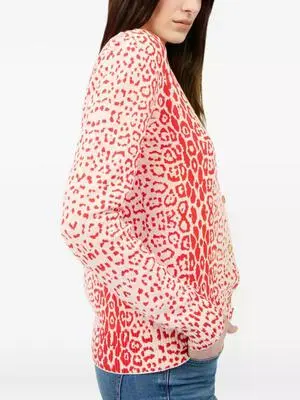 Roberto Cavalli Leopard-print Cardigan