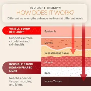 LIFEPRO Vibrared Vibration Plate With Red Light 99 Speeds & Resistance Bands - Blue