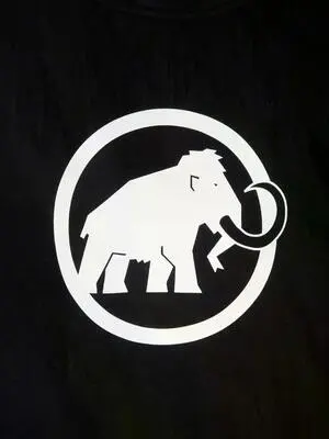 MAMMUT Base Ml Logo-print Hoodie