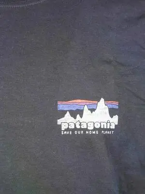 Patagonia 73 Skyline T-shirt