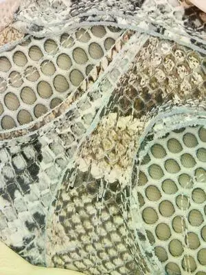 Roberto Cavalli Snake-effect Low-top Sneakers