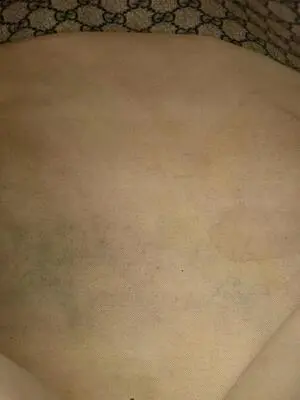Gucci 2016-2026 Gg Supreme Web Tote Bag