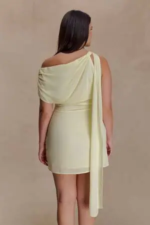 Meshki Daisie Chiffon Mini Dress