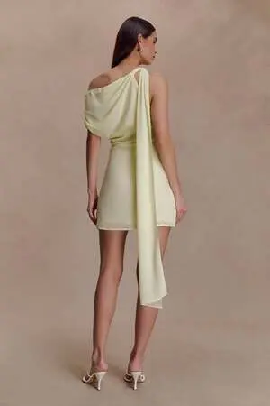 Meshki Daisie Chiffon Mini Dress
