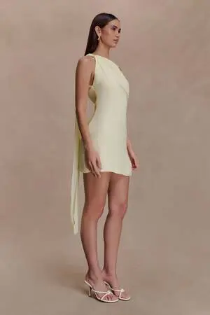 Meshki Daisie Chiffon Mini Dress