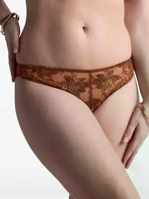 AUBADE Rules Of Attraction Briefs