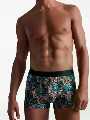 AUBADE Tiger Dragon-print Boxers - Black