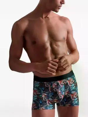 AUBADE Tiger Dragon-print Boxers