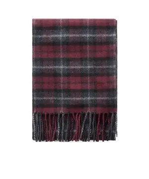Etro Casual Plaid Scarf