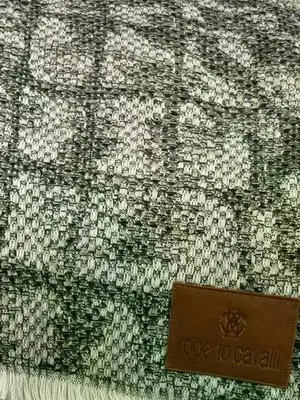 Roberto Cavalli Fringed Blanket