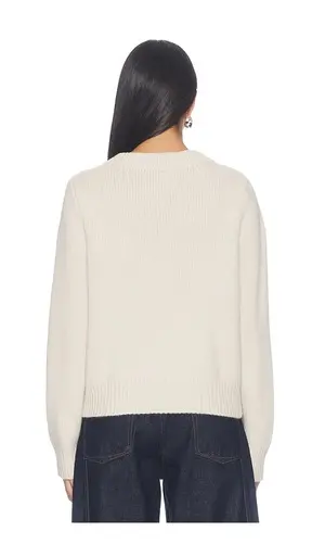 Soft Goat Chunky V-neck Sweater In Beige
