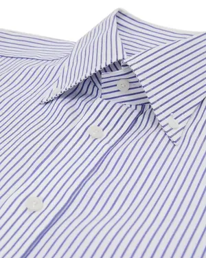 REISS Jackson Cotton Tailored Stripe Shirt