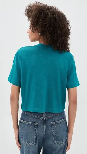 Junk Food Dolphins Helmut Mock Crop Tee